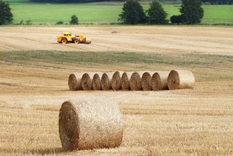 Field with Parcels Straw and from Timber Stock Photo - Image of ...