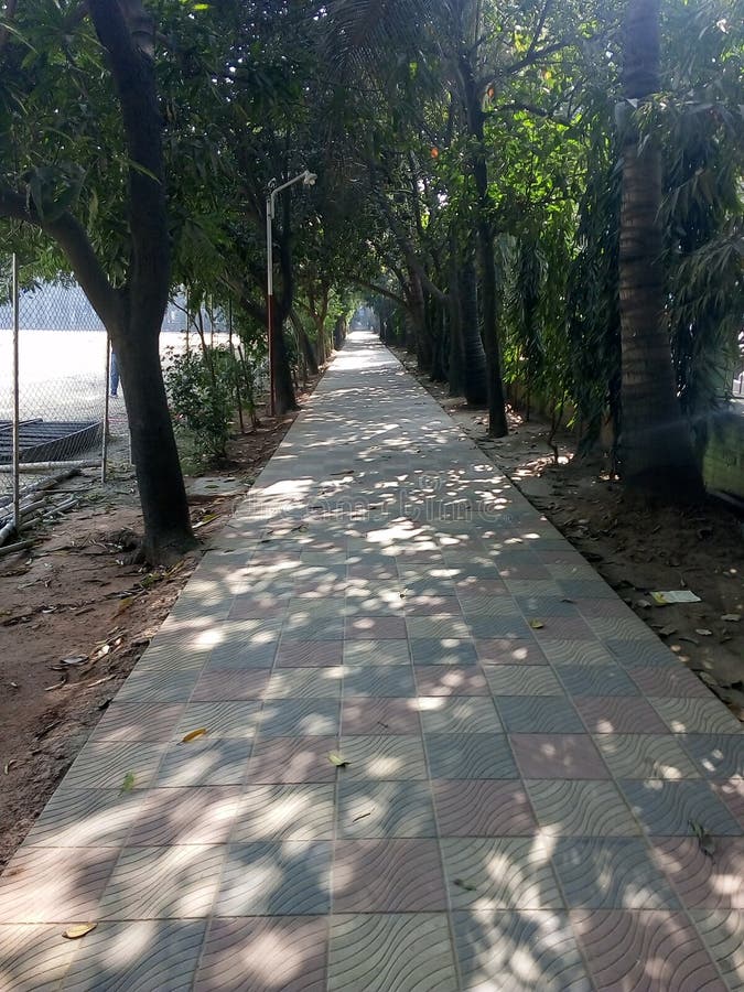 Field Park Jogging Path Dhaka Stock Image - Image of park, path: 168871643
