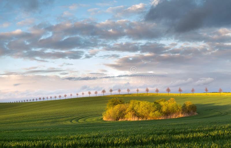 Field after passing storm stock photo. Image of morning - 41346058