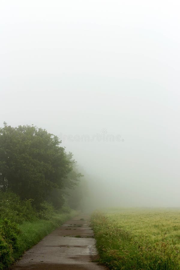 Field path with fog stock photo. Image of mist, foggy - 85848924