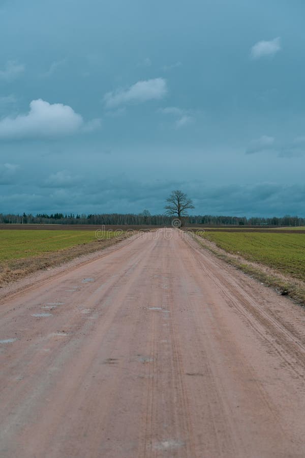Field Path. in the Middle of the Horizon, a Tree Stock Photo - Image of ...
