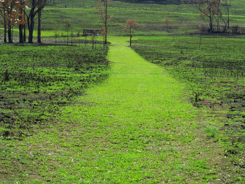 Australia Ashes Wallpaper Stock Photos - Free & Royalty-Free Stock ...