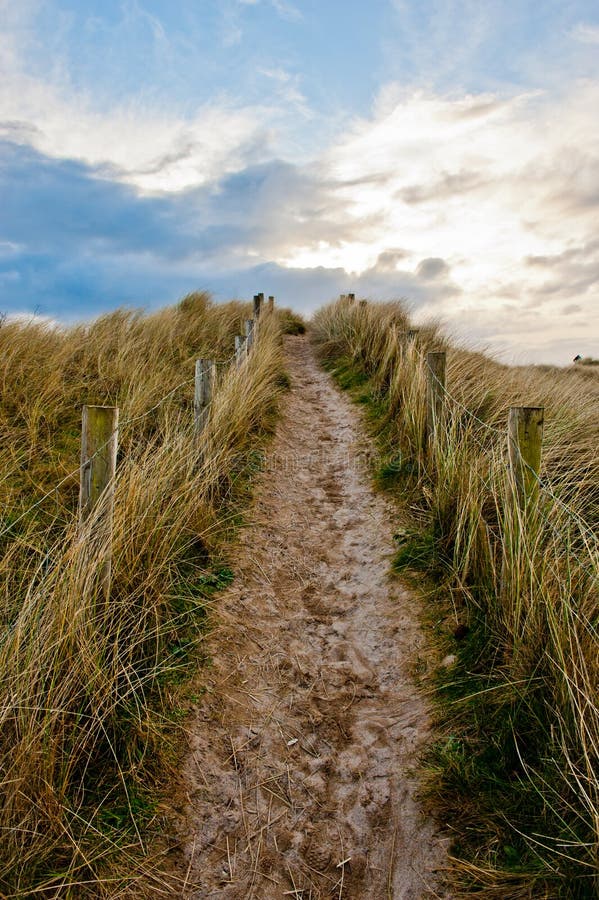 Field Path Under Blue Sky in Ireland Stock Photo - Image of ocean ...