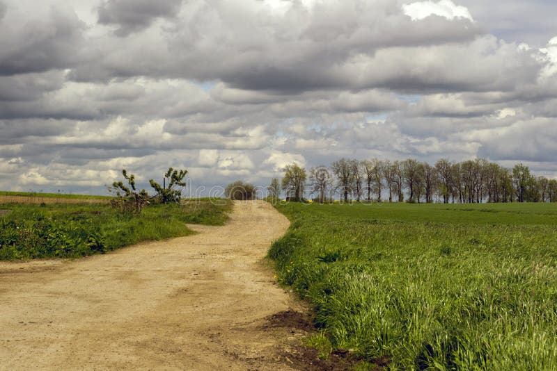 Field Path with Trees and Clouds Stock Photo - Image of outdoor, clouds ...