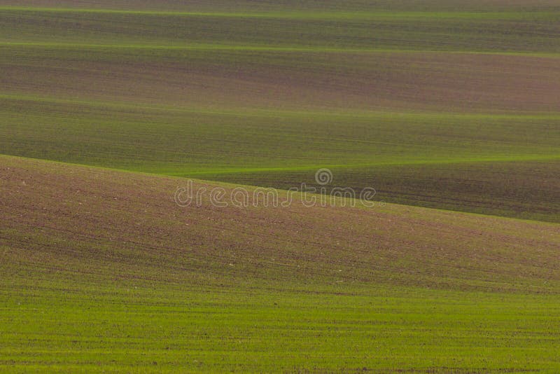 Field pattern stock photo. Image of landscaped, pattern - 107144726