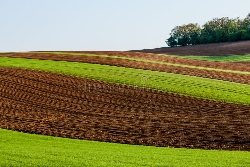 Field Patterns stock image. Image of beautiful, detail - 2842245