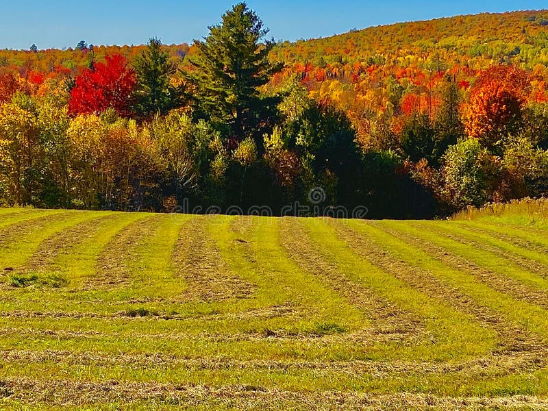 Field Patterns in Front of Hills with Bright Fall Colors Stock Photo ...