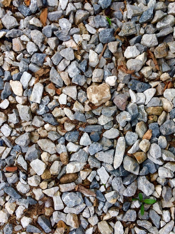 Field of Pebble, Rock, Stone Background Stock Photo - Image of rock ...