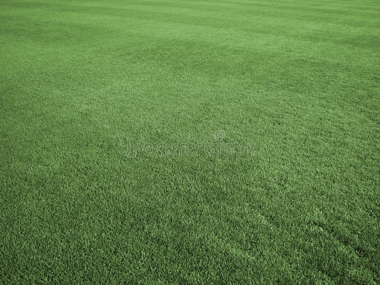 464 Bermuda Grass Field Stock Photos - Free & Royalty-Free Stock Photos ...