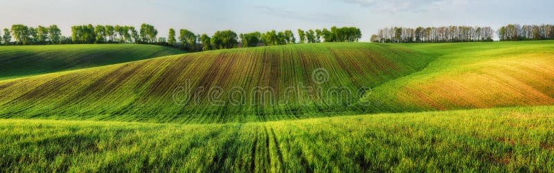 Field. Picturesque Hills on a Spring Field Stock Illustration ...