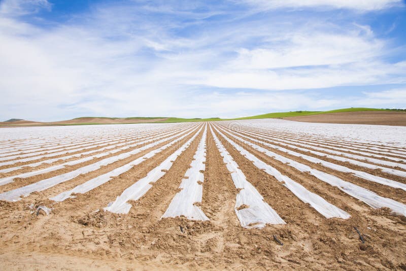 Field plastic stripped stock image. Image of field, covered - 46232583