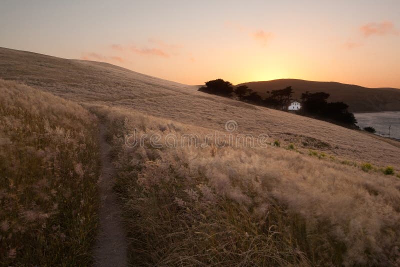 Point Reyes Sunset stock photo. Image of foggy, wildflowers - 1459924