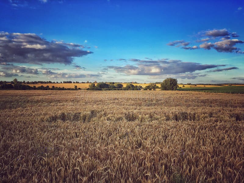 Field in Poland stock photo. Image of town, landscape - 142085810