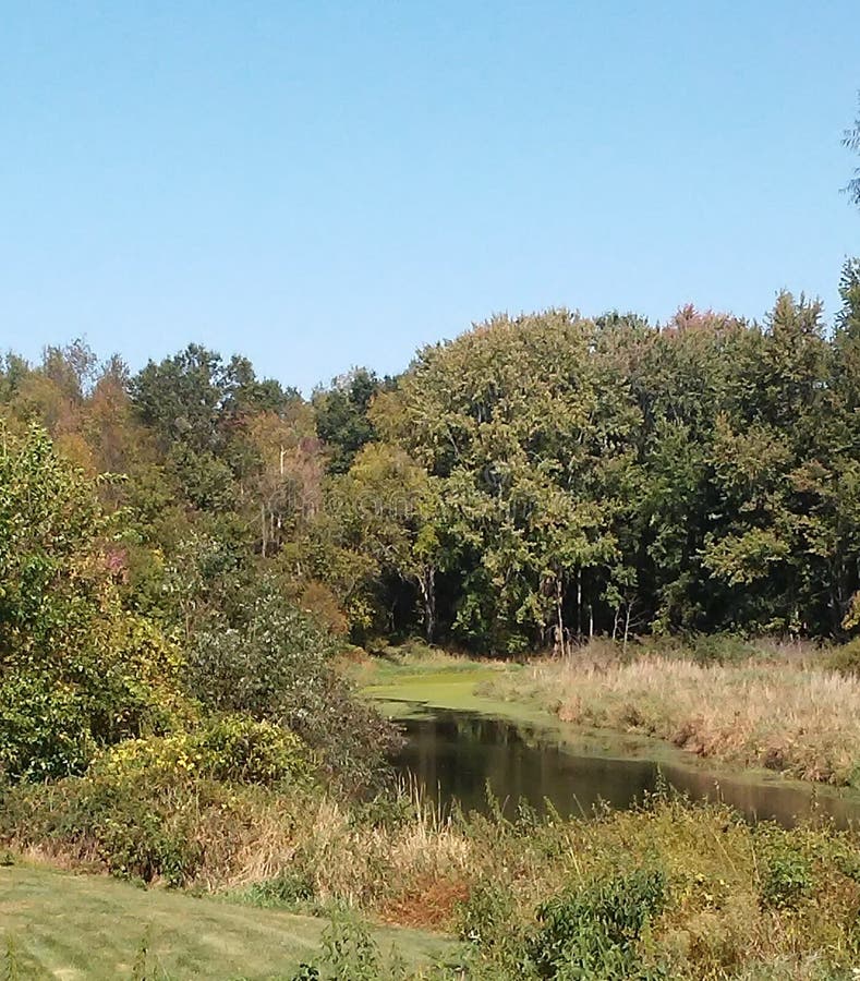 Touched by fall stock photo. Image of touched, fall - 100614398