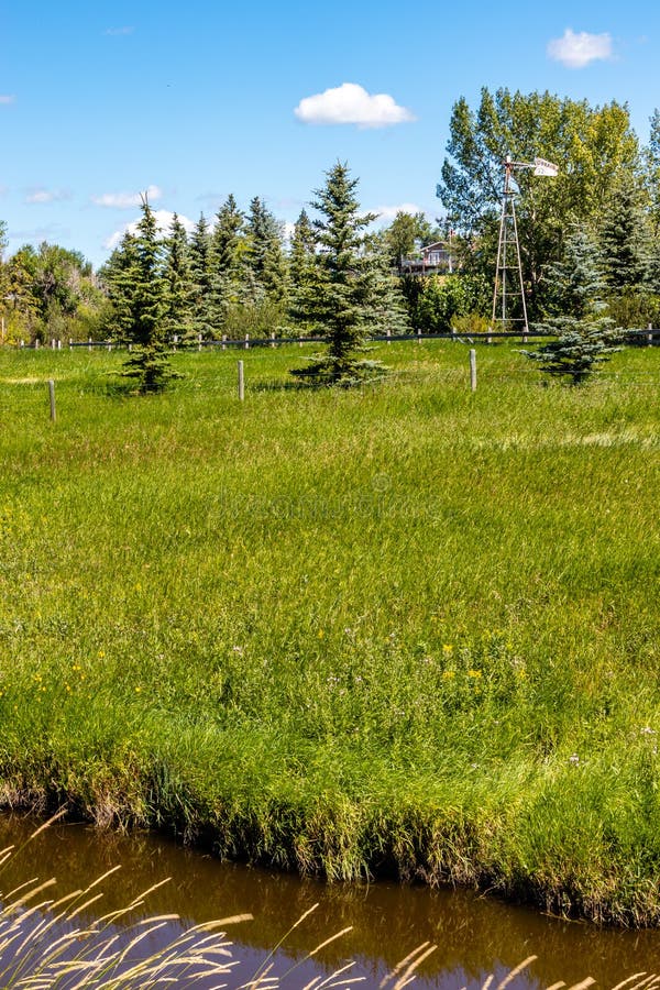 Field and Pond in Summer. Rockyview County, Alberta, Canada Stock Image ...