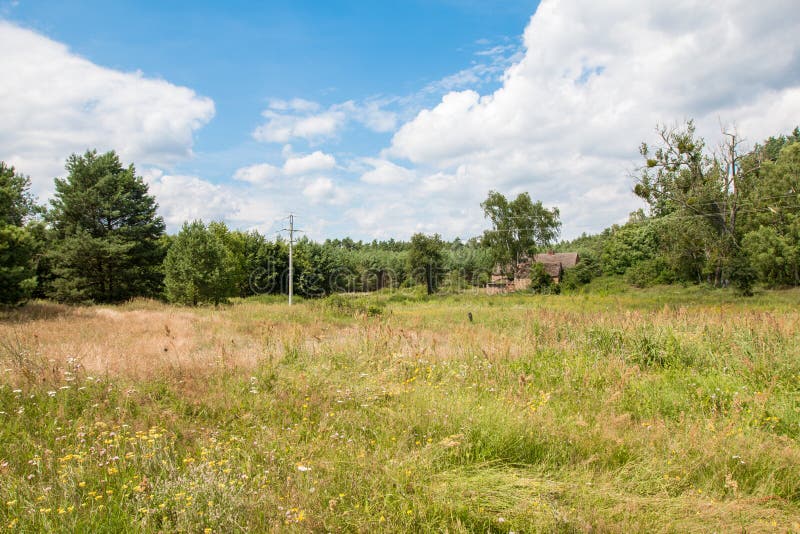Field of Poppies in the Broad Perspective Stock Photo - Image of sunset ...