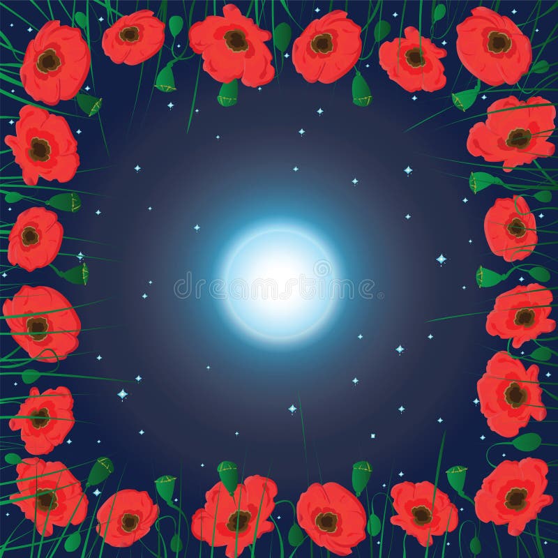 Field of poppy flowers. stock vector. Illustration of moon - 41316871