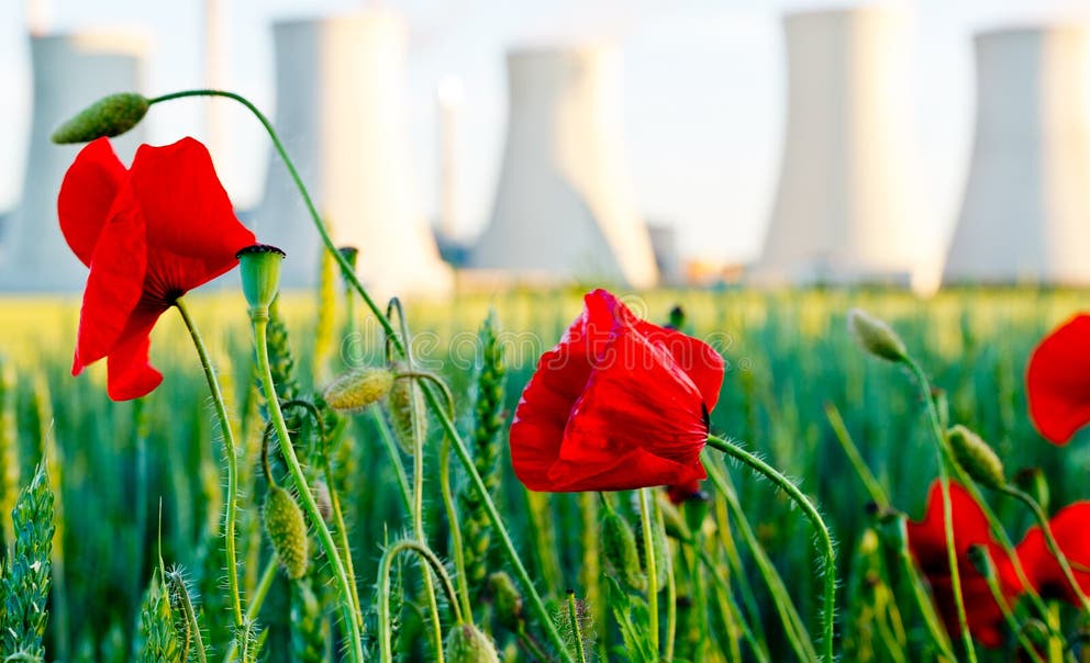 Field Poppy with Power Station Stock Image - Image of cloudscape ...