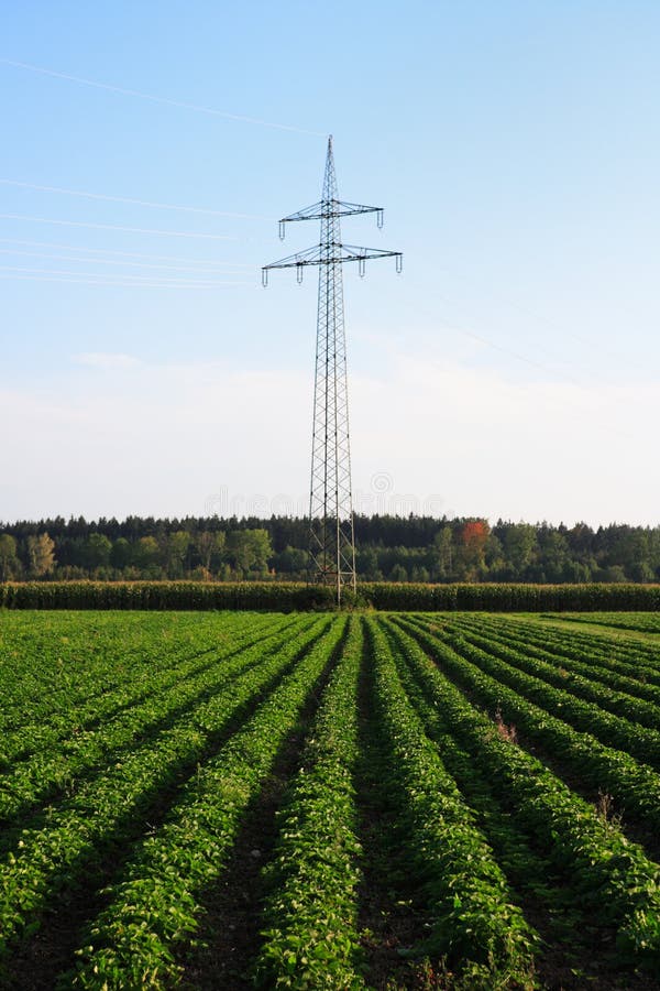 Field With Power Pole Picture. Image: 3366599