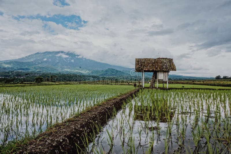 Field stock photo. Image of field, vsco, mountain, process - 109414104