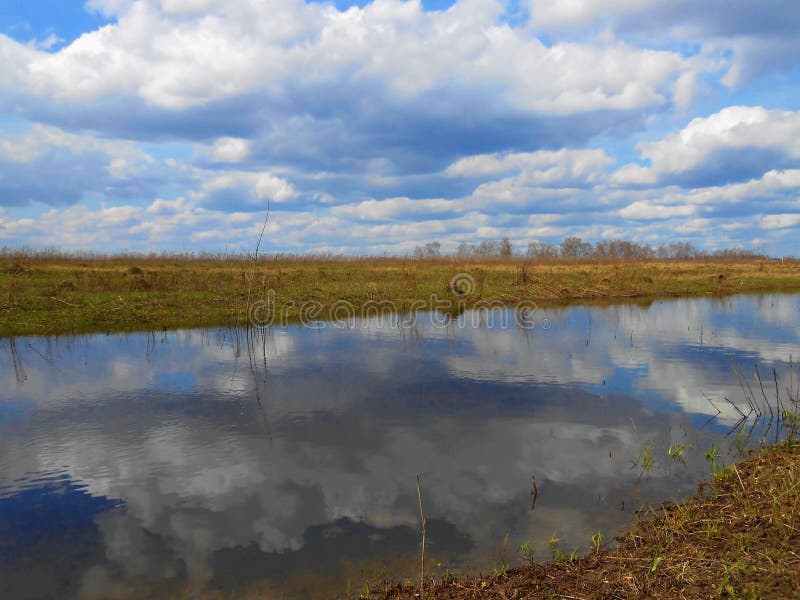 Field, Puddle and Trees in the Distance in the Spring Day. Stock Photo ...