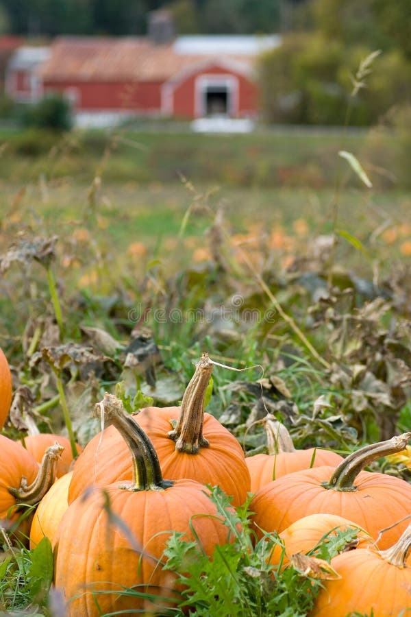 Autumn in Vermont stock image. Image of vacation, sightseeing - 1160497