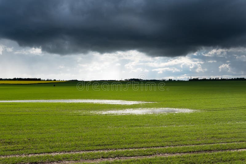 Field after rain. stock image. Image of blue, puddle - 71578967