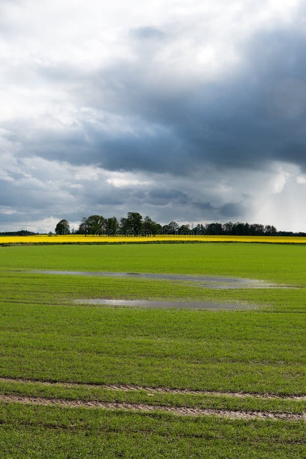 Field after rain. stock photo. Image of industry, ground - 71580126