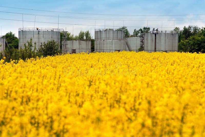 393 Flower Silo Stock Photos - Free & Royalty-Free Stock Photos from ...