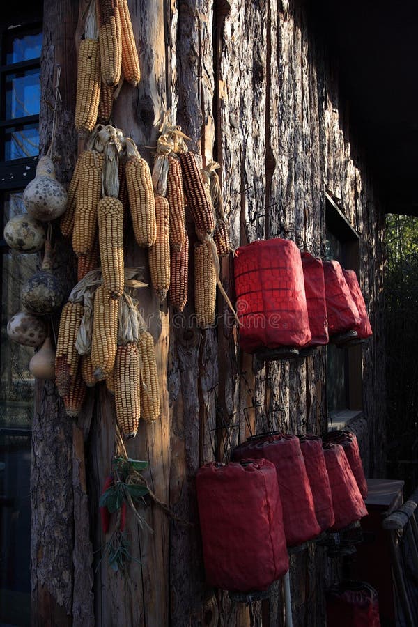 Field Rations stock photo. Image of harvest, plant, gourd - 1498686