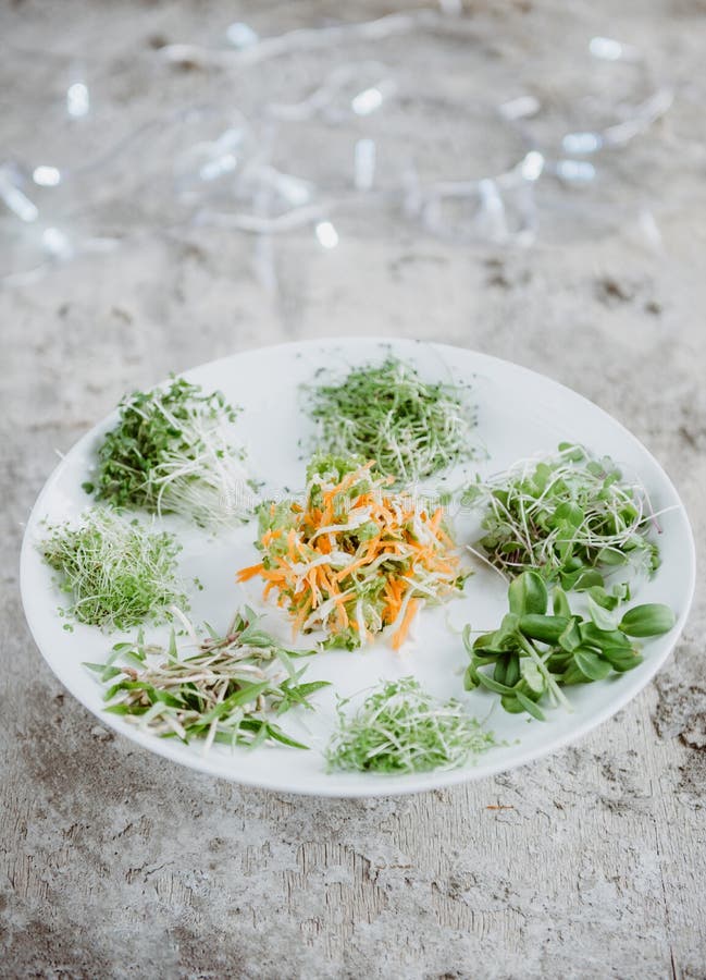 Field Raw Food Meal on a White Plate Stock Photo - Image of vegetable ...