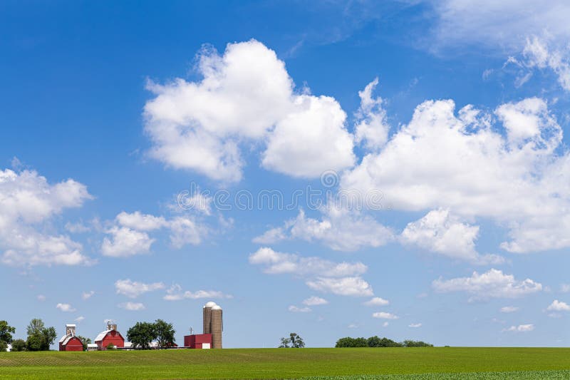 Field with red farm stock photo. Image of blooming, growth - 317170114