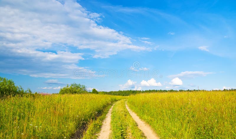 Road through field stock photo. Image of grasses, colour - 16534656