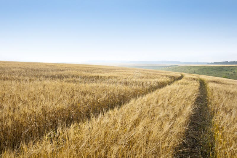 Field road stock photo. Image of grassland, landscape - 15845170