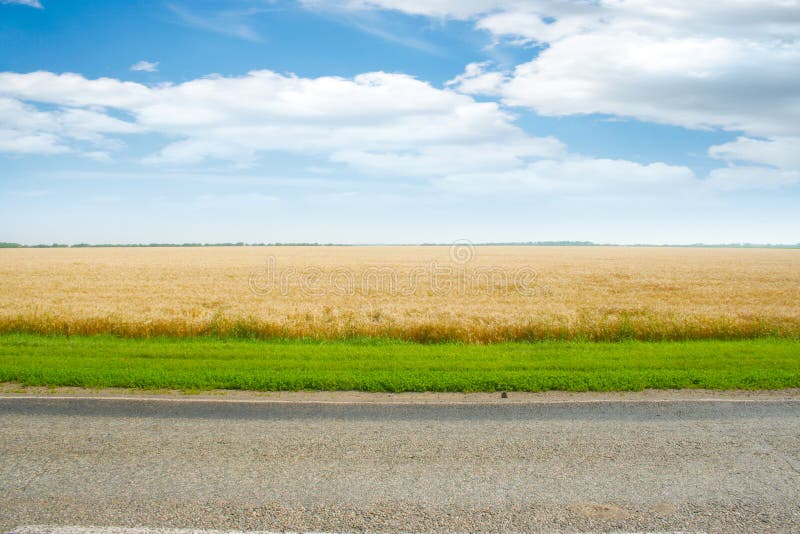 Field and road stock image. Image of blacktop, farmland - 20932197