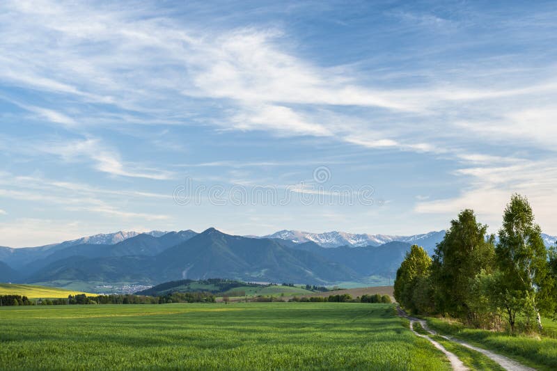 Field road stock photo. Image of trees, nature, green - 25125706