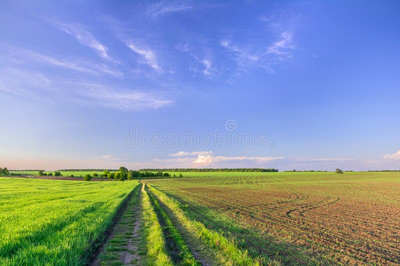 A Field Road Going through the Hilly Autumn Steppe Towards High and ...