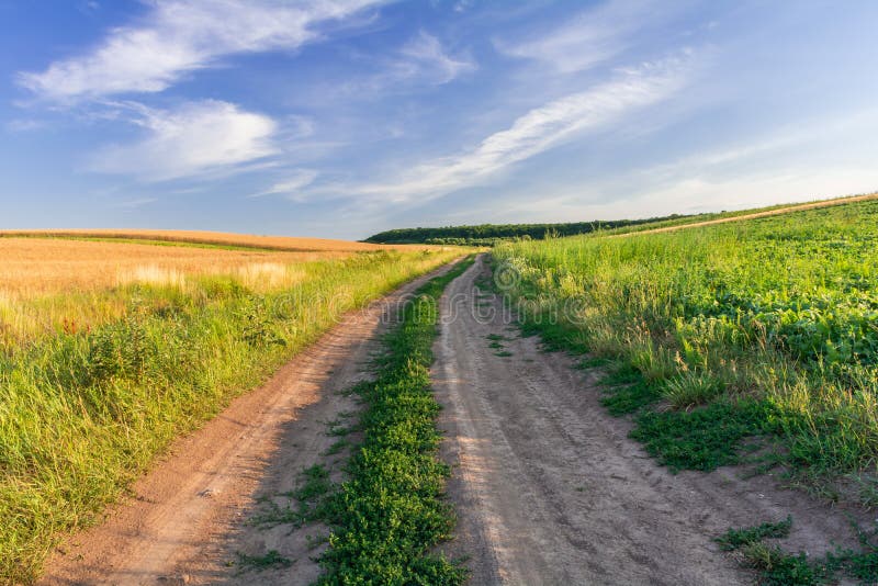 A Field Road between the Slopes of the Fields of Agricultural Crops ...