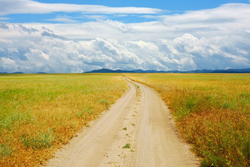 Field road stock photo. Image of cloudy, ecologically - 127468264