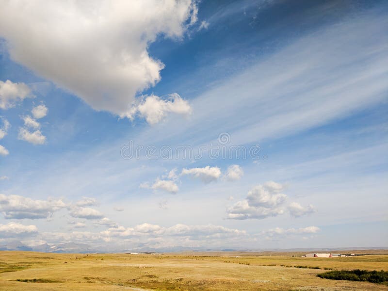Field in Rural America stock image. Image of nature - 179450535