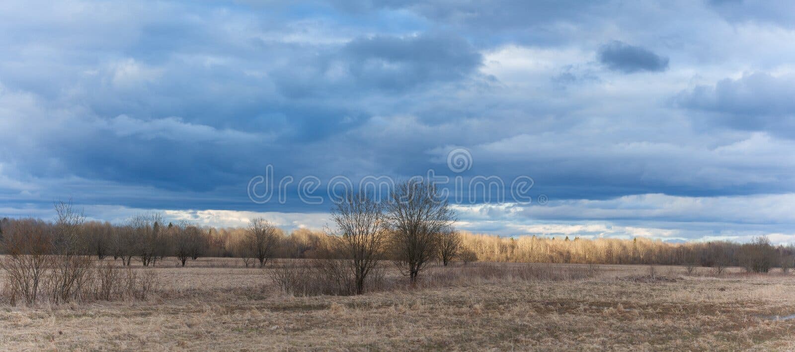 Ecosystem, Prairie, Field, Grassland Picture. Image: 112592295