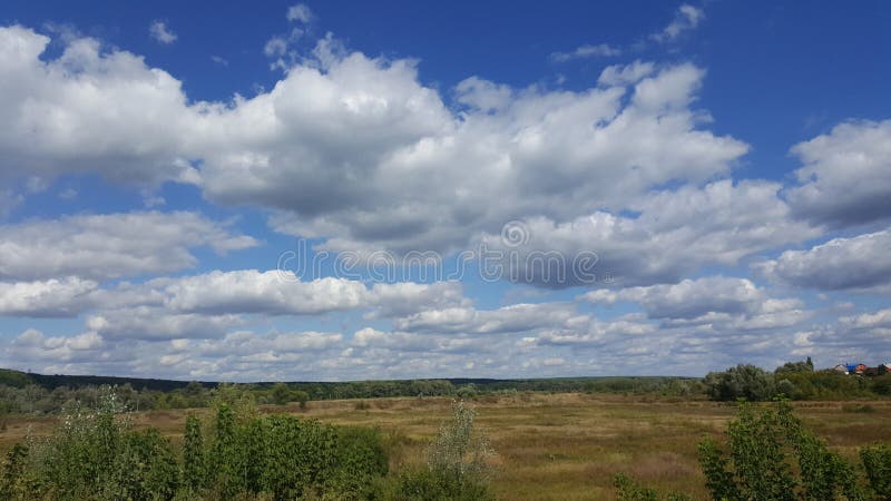 Field in Russia stock image. Image of russia, field - 124139653