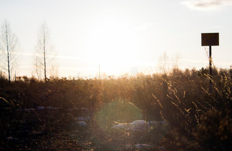 Field stock image. Image of spring, russian, field, grass - 69504211
