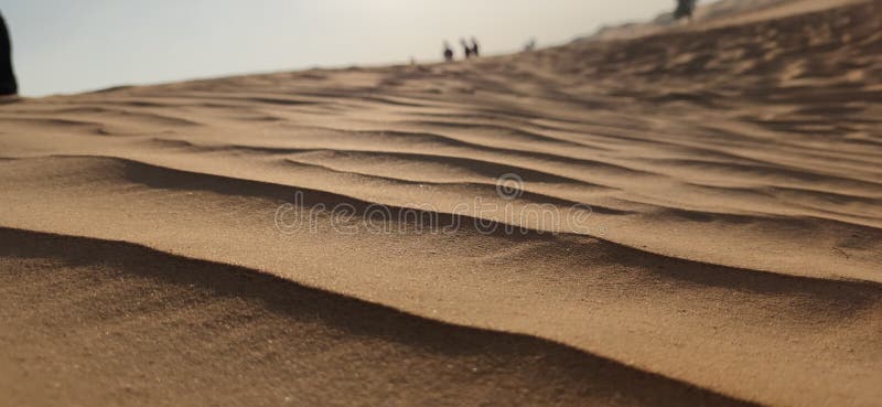 Field of sand stock photo. Image of focus, field, partical - 219584790