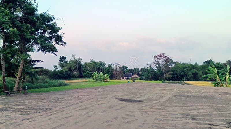 Field with Sand and Rice Fields with Trees Stock Photo - Image of ...