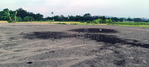 Field with Sand and Rice Fields with Trees Stock Image - Image of ...