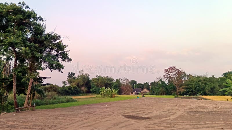 Field with Sand and Rice Fields with Trees Stock Image - Image of ...