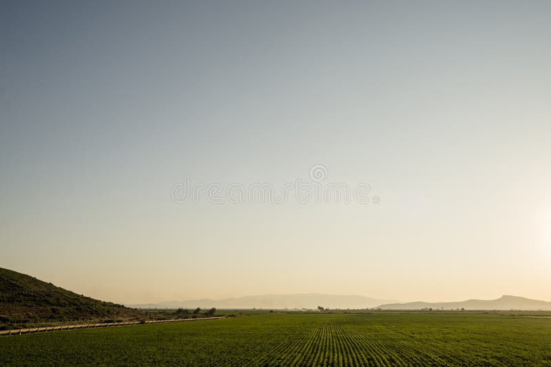 Field scape stock photo. Image of oxygen, grass, azure - 4445172