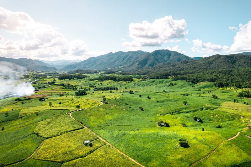 Field Scenery Views and Green Fields on a Clear Day Stock Image - Image ...