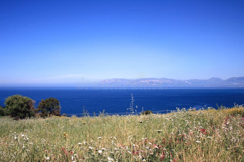 Field and sea landscape stock image. Image of grassland - 3290433
